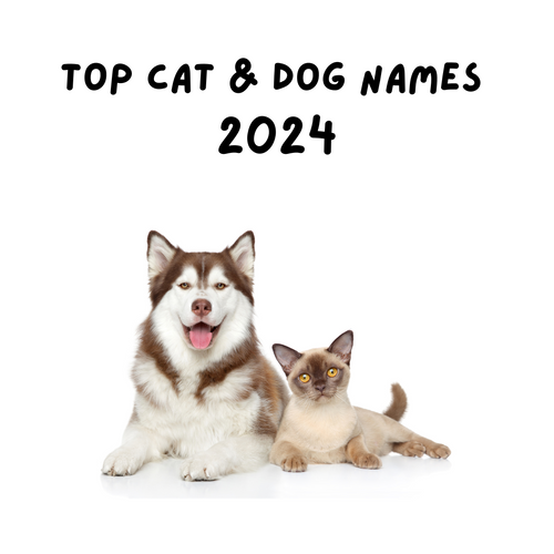 Top Dog and Cat Names in the UK – Pipkin and Bella
