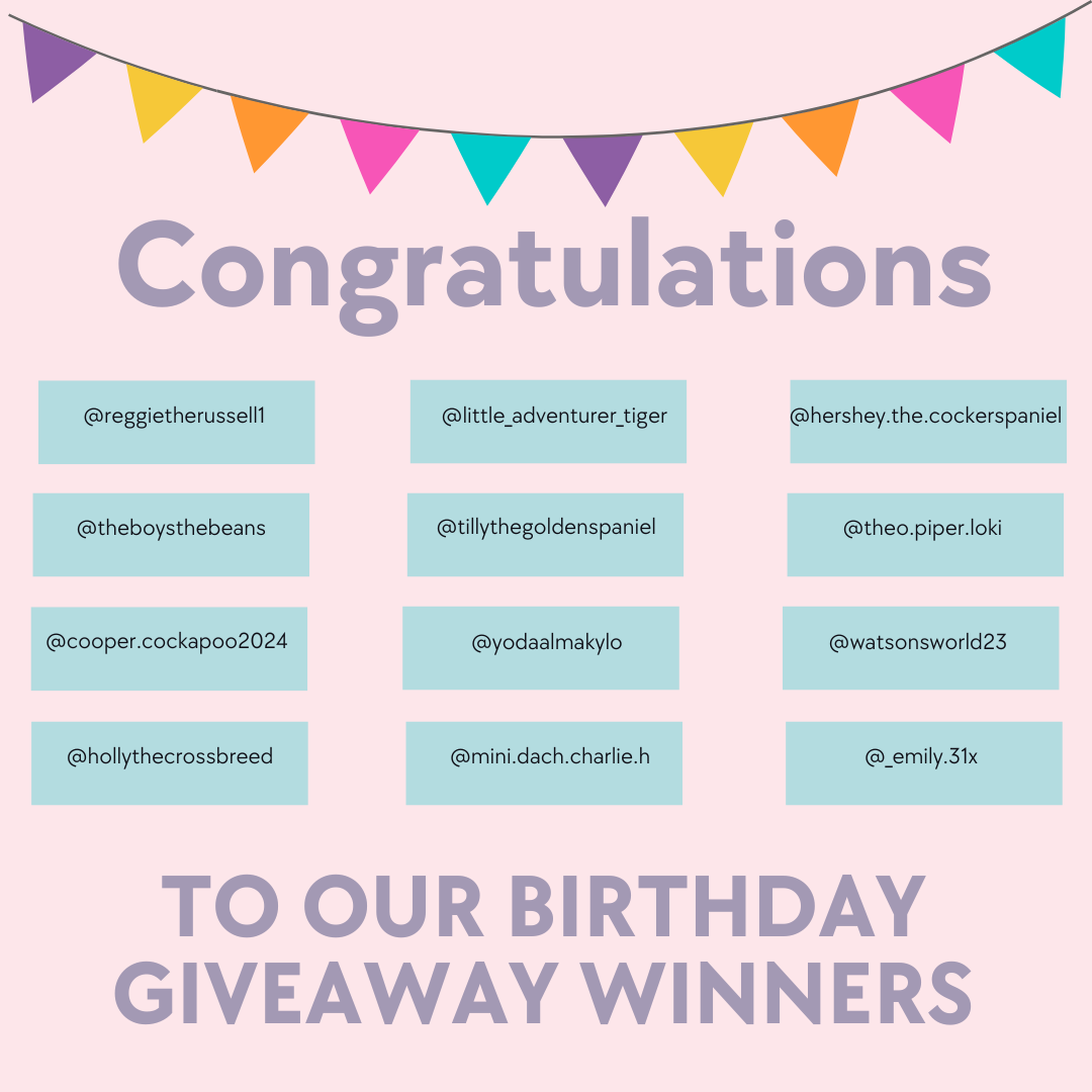 Congratulations to Our 12 WINNERS! – Pipkin and Bella