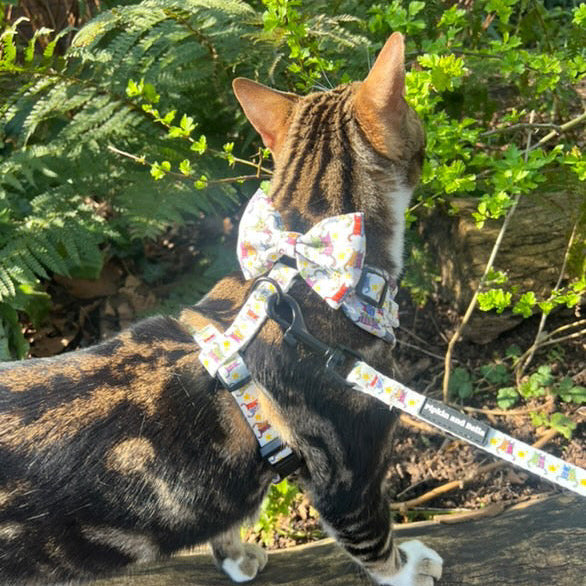 Pipkin and Bella Fabric Cat Lead - Kitty Cool Cats