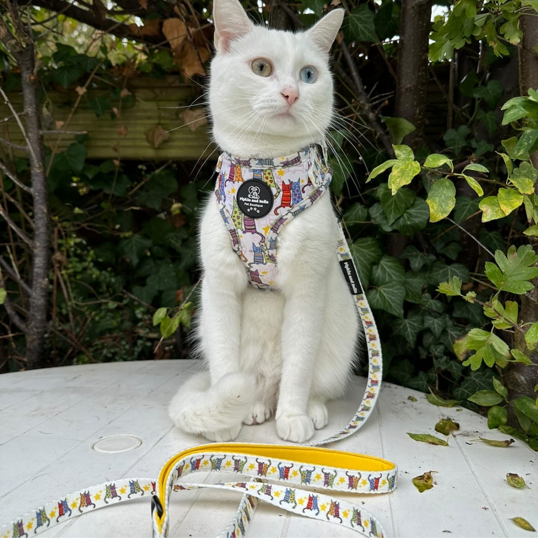Pipkin and Bella Fabric Cat Lead - Kitty Cool Cats