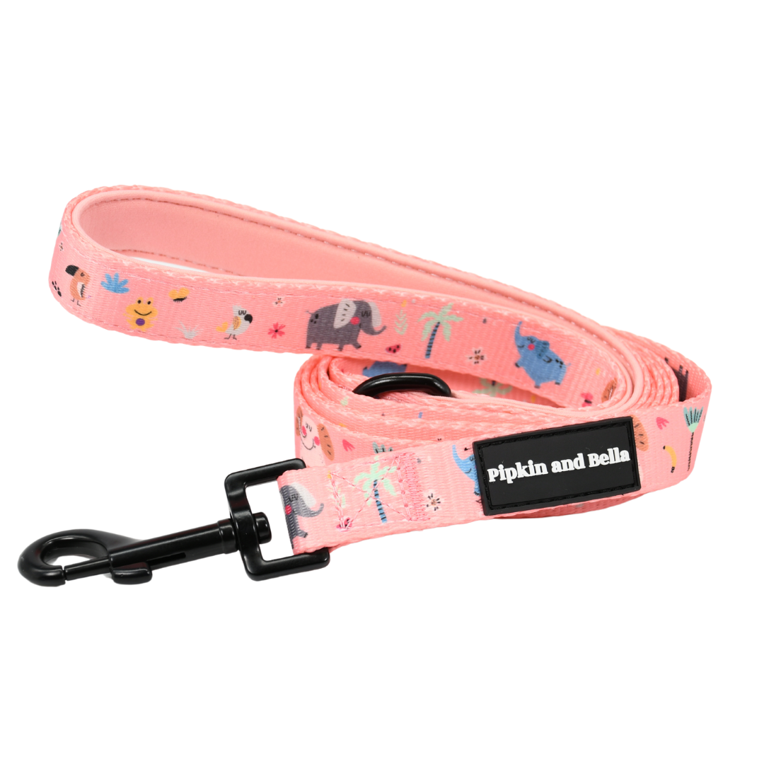 Pipkin and Bella Fabric Dog Lead - Ellie Funk