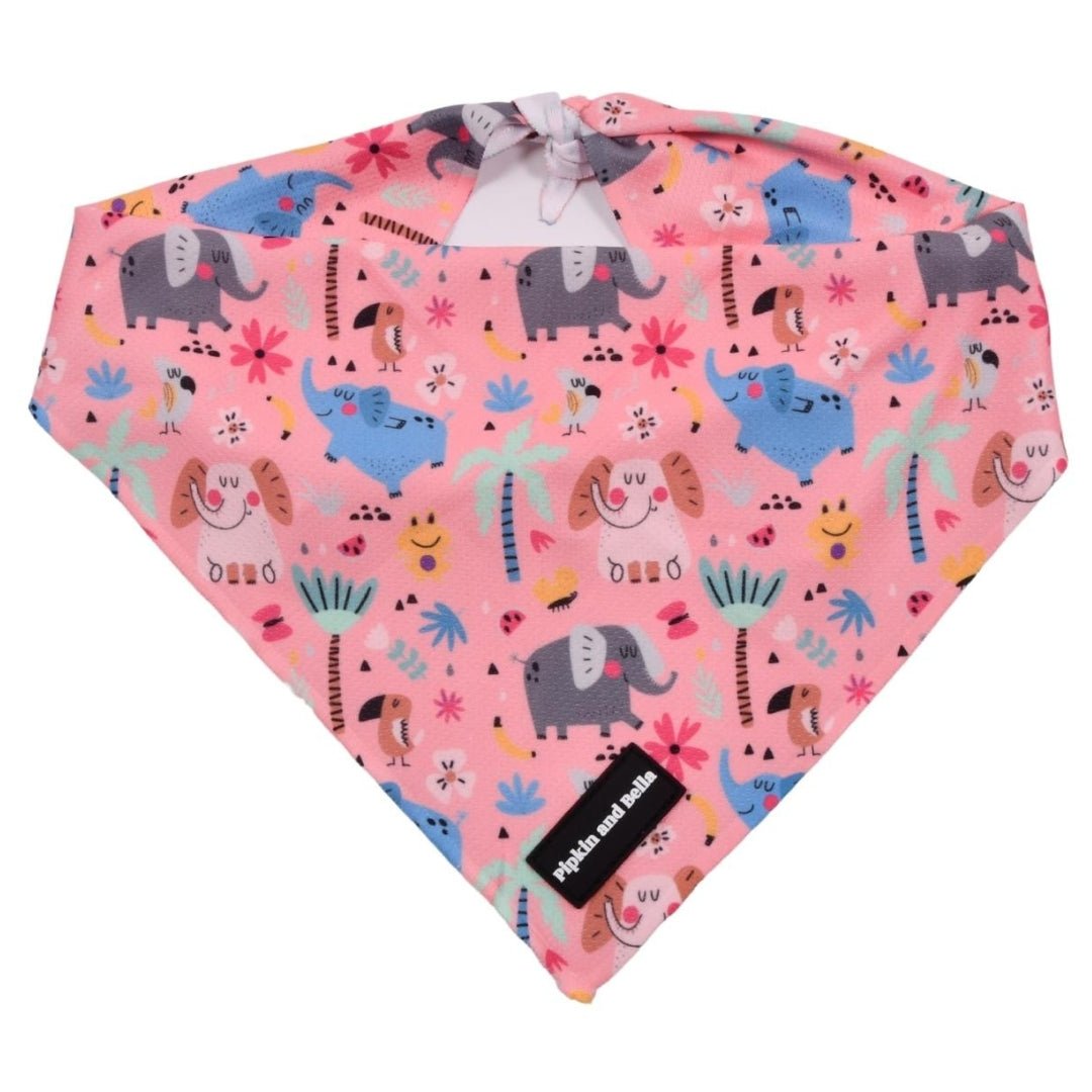 Pipkin and Bella Pet Bandana - Ellie Funk