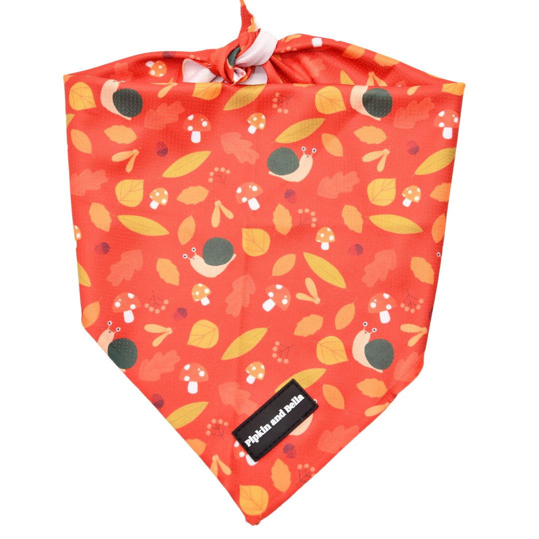 Pipkin and Bella Pet Bandana - Woody the Snail